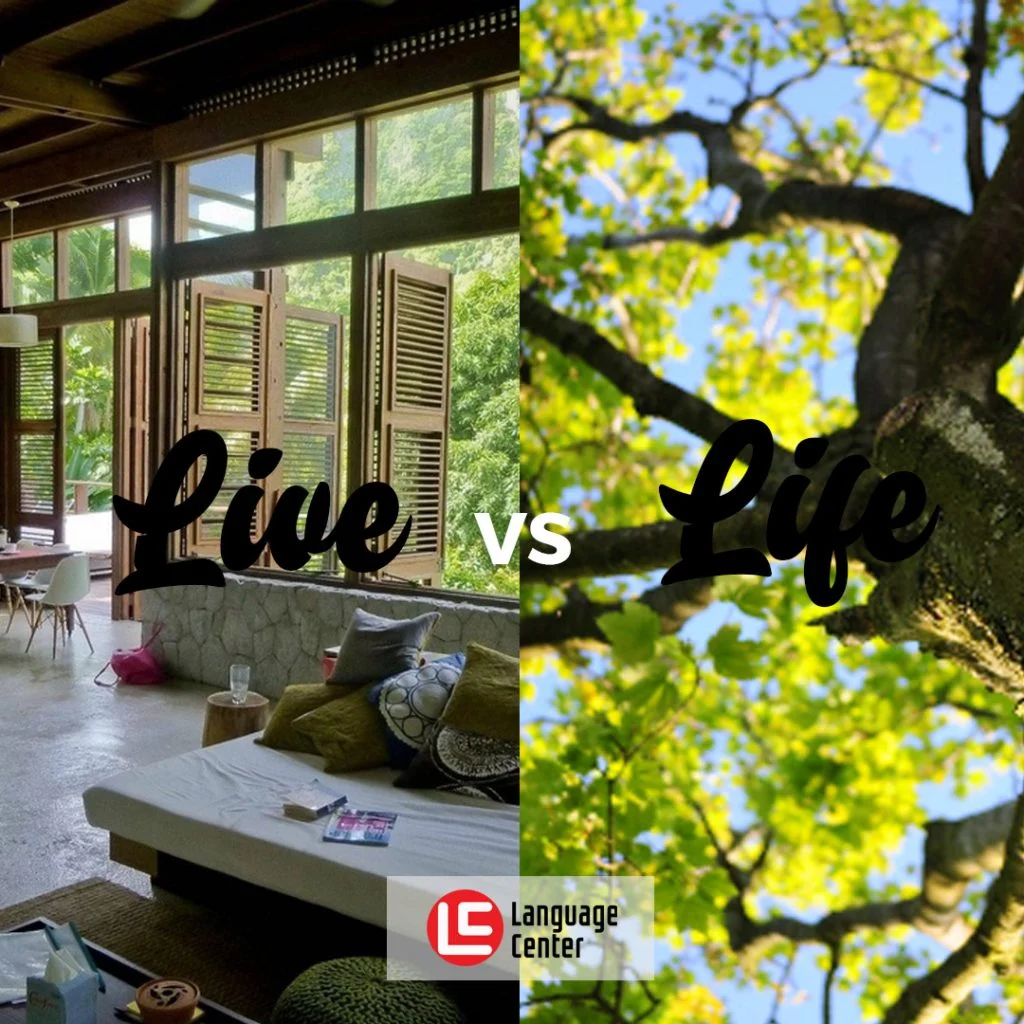 Life dan Live: Pengertian, Perbedaan dan Contoh Kalimat
