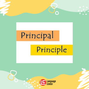 Perbedaan Kata Principal dan Principle dalam Bahasa Inggris